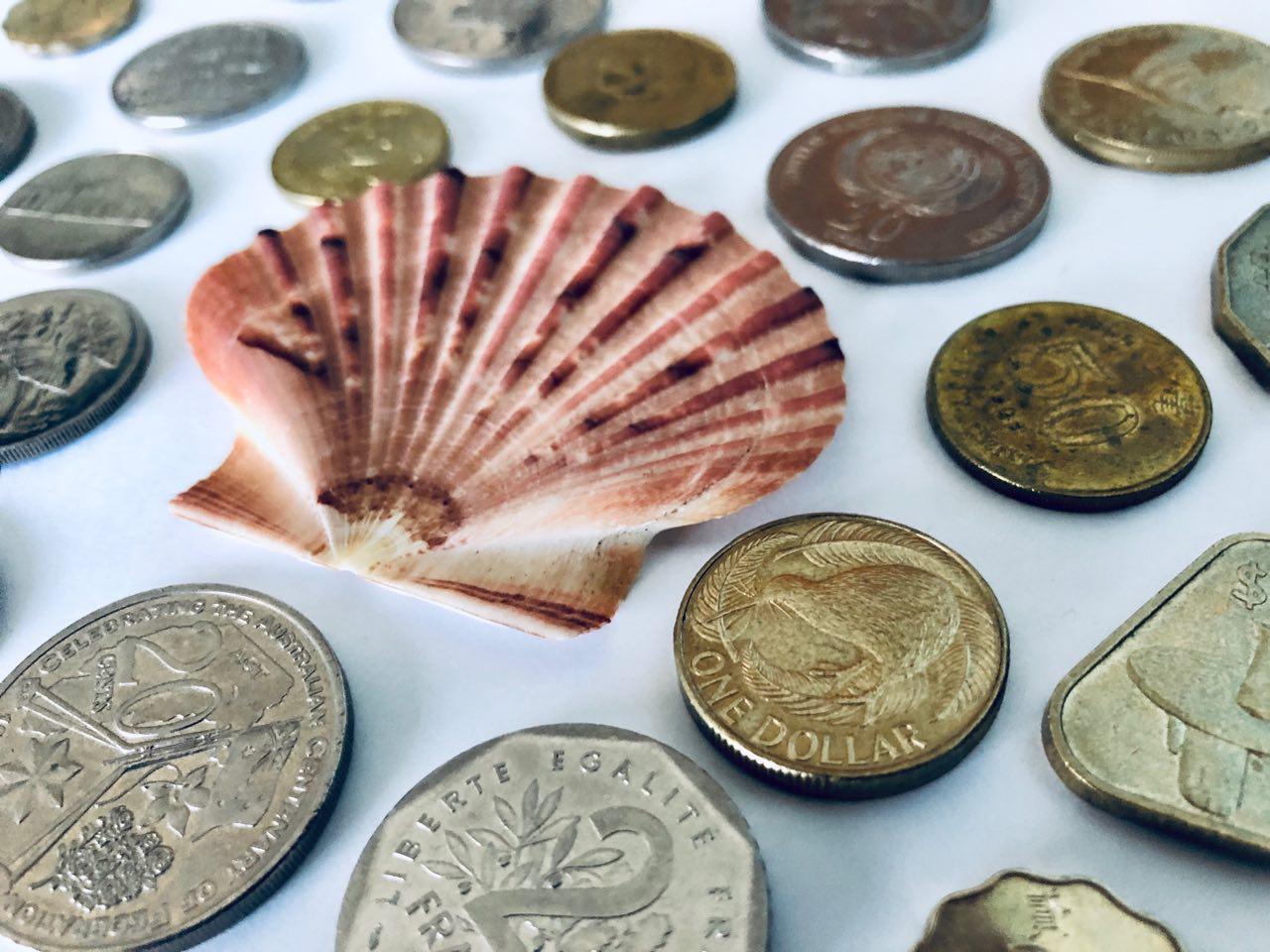 Investing 101 – Money King NZ