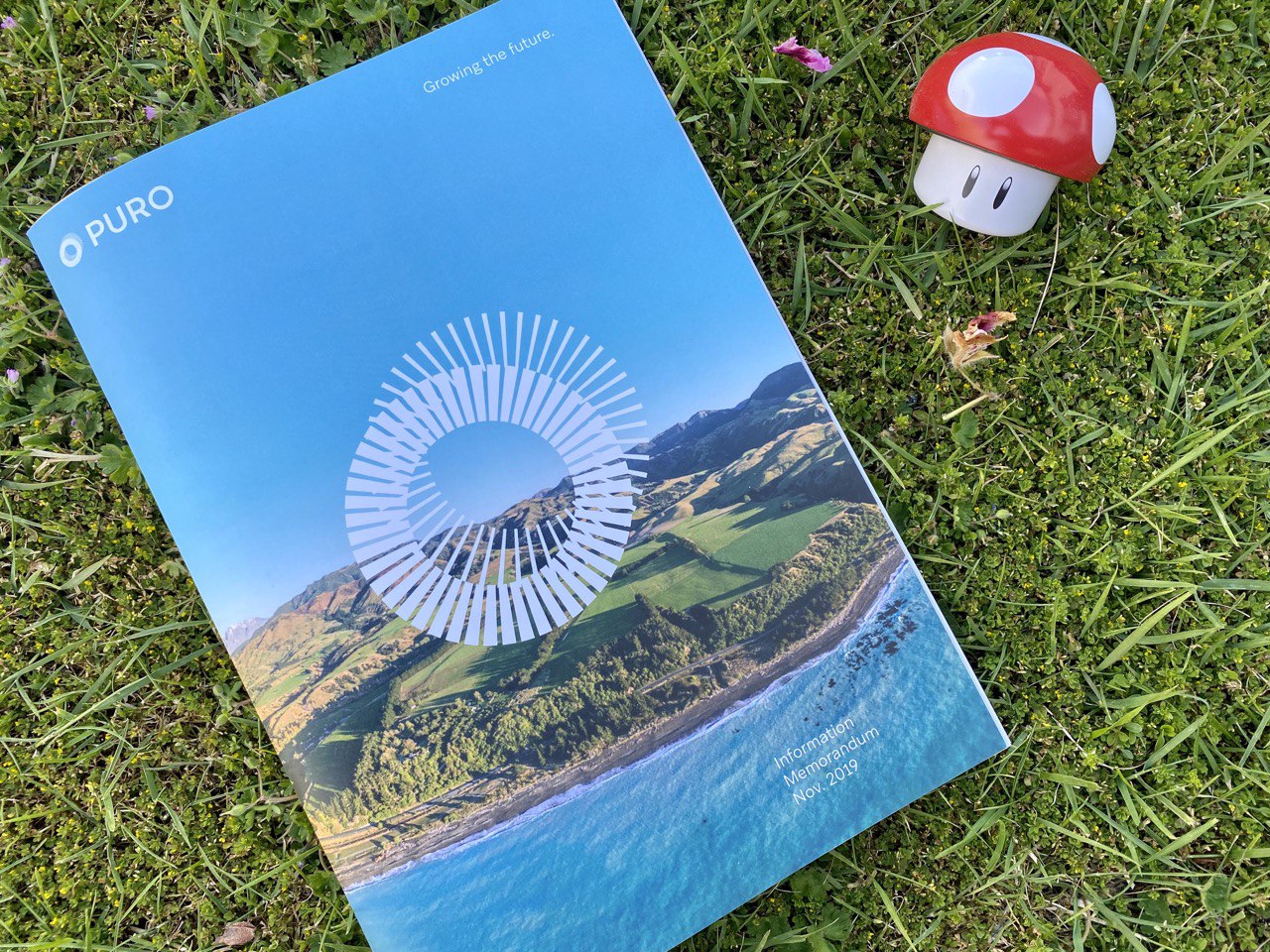 What I learnt – Puro (Medical Cannabis) Investor Roadshow – Money King NZ